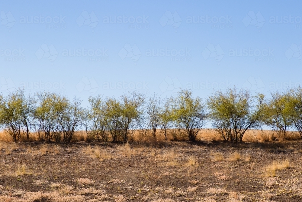 Image of Dam bank - Austockphoto