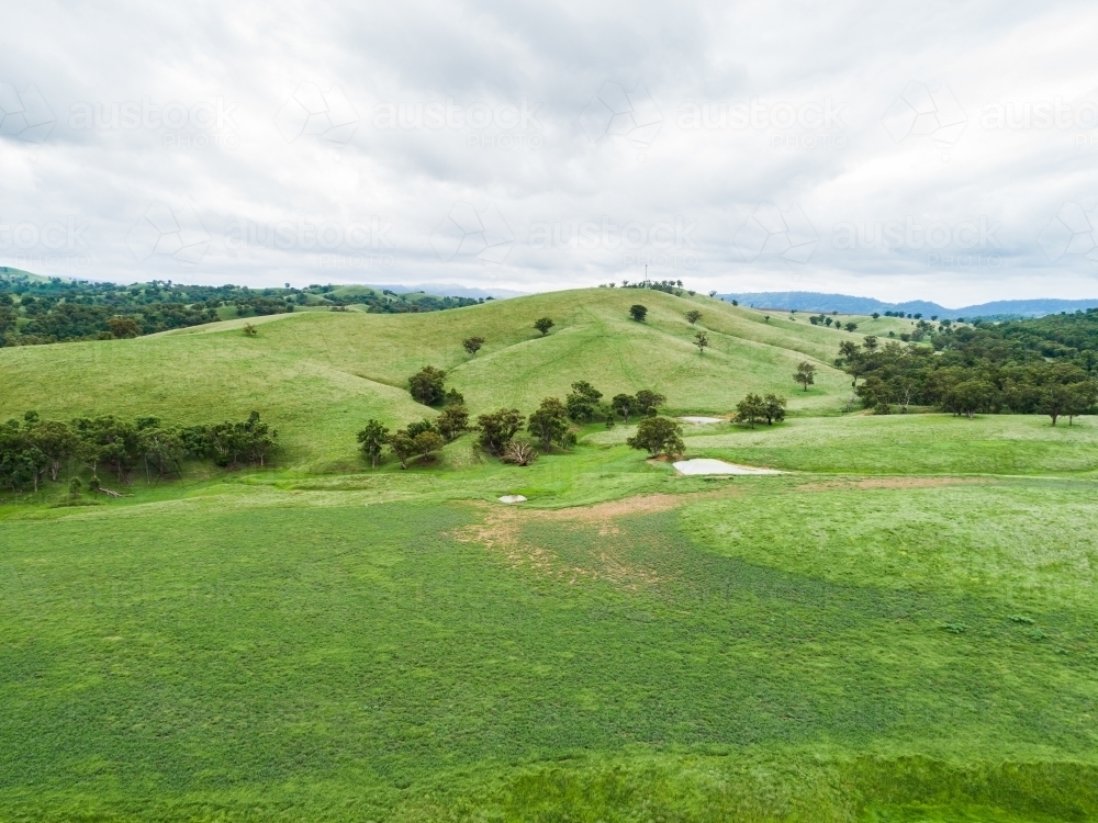Image of Dam in green paddock under overcast sky - Austockphoto