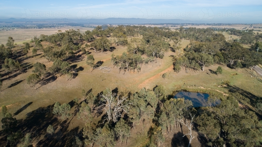 Image of Dam in paddock full of gum trees - Austockphoto