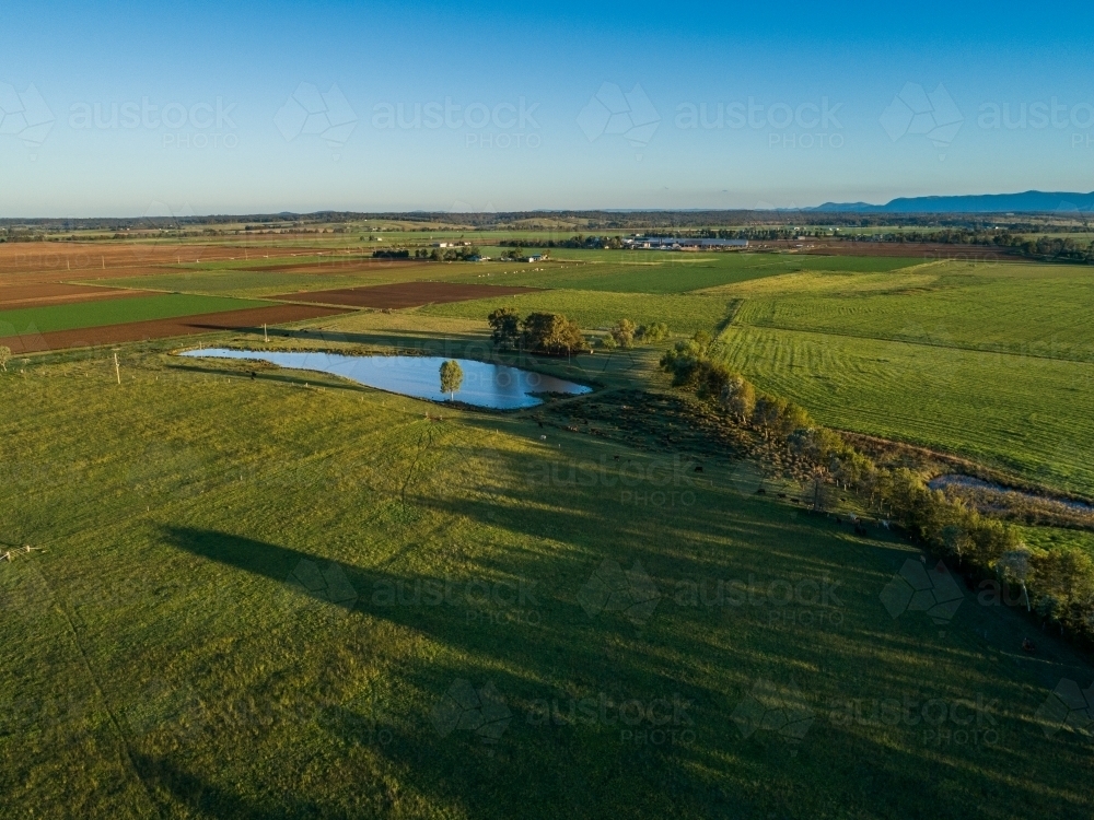 Image of Dam reflecting blue sky in green farm paddock - Austockphoto