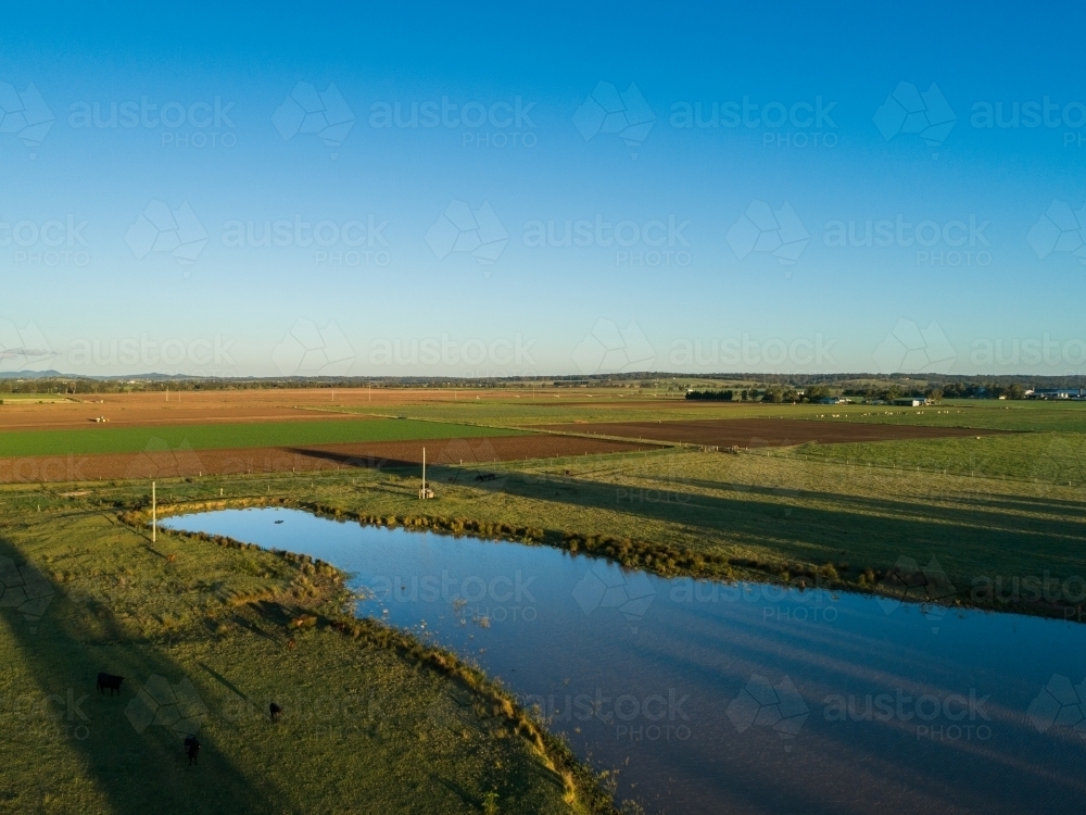 Image of Dam reflecting blue sky in green farm paddock - Austockphoto