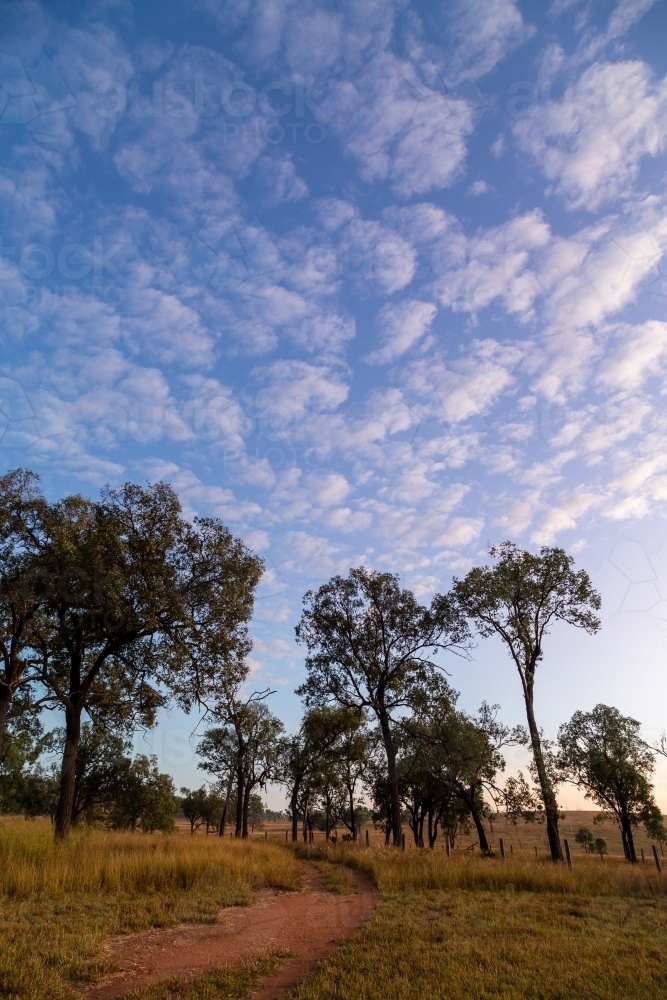 Image of Dawn in the country. - Austockphoto