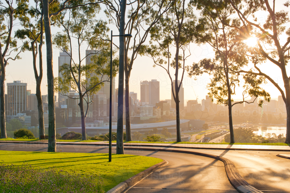 Image of Dawn Kings Park Perth view through gum trees to city beyond ...
