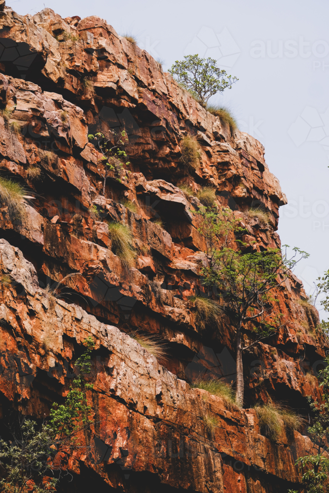 Image of Deep red gorge cliffs with small trees - Austockphoto