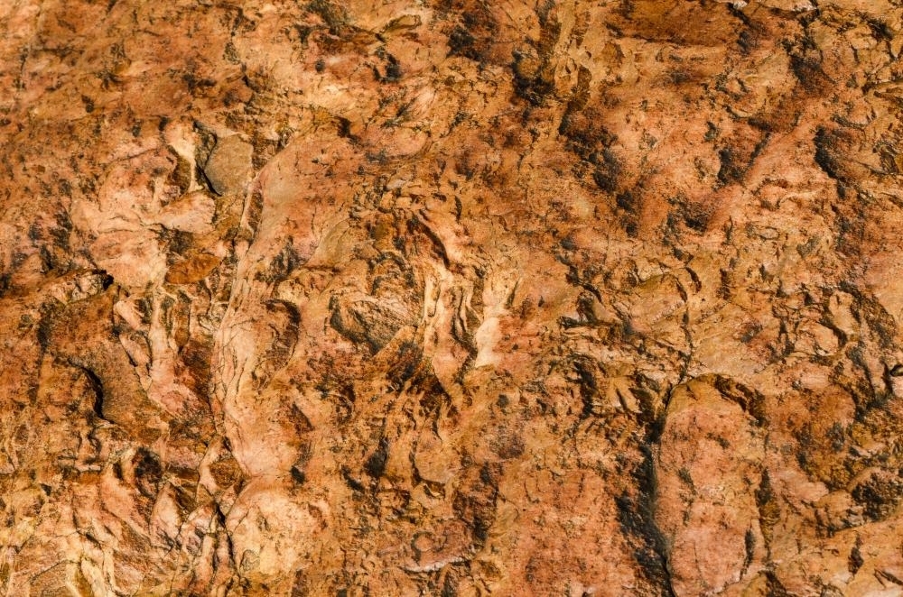 Image of Detail shot of textured orange rock - Austockphoto