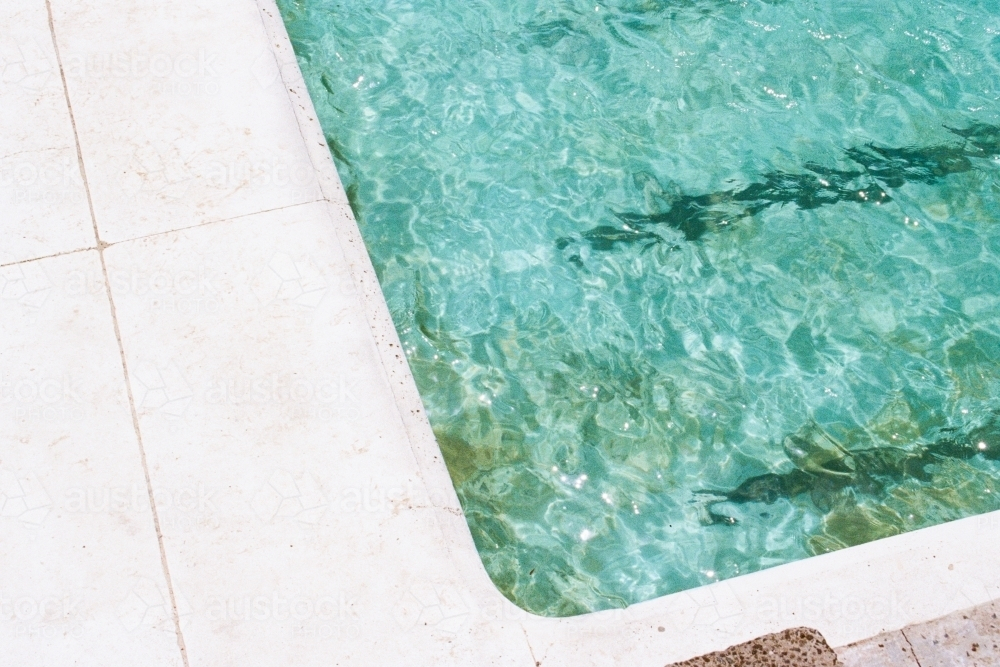 Image of detailed shot of an outdoor swimming pool in clovelly beach ...
