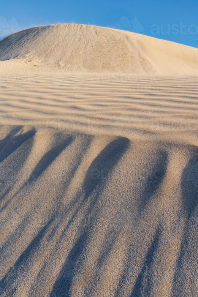 Image of Detailed view of ripples and patterns on the side of sand ...