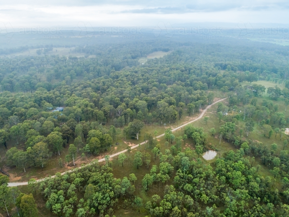 Image of Dirt driveway into rural property covered in trees on misty ...