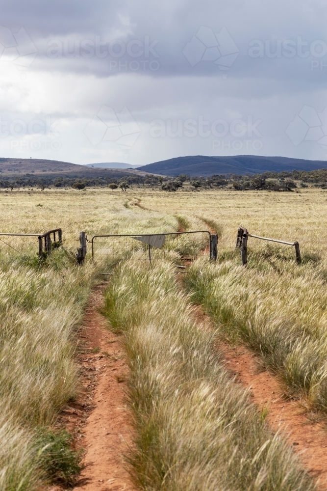 Image of dirt track going through an old gate on grassy plains ...
