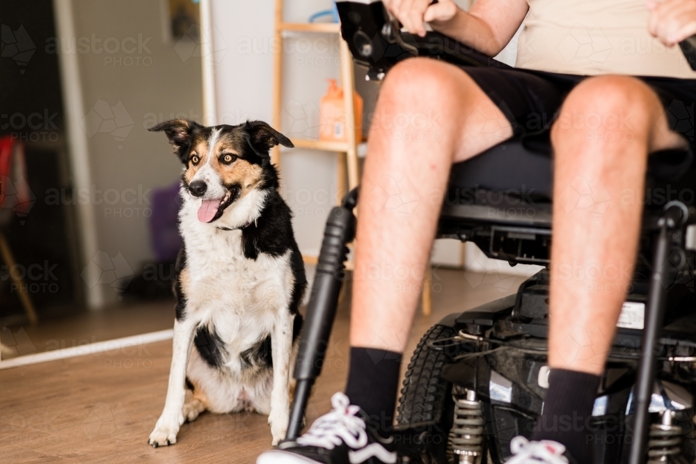 Image of disabled man with dog sitting at his feet - Austockphoto