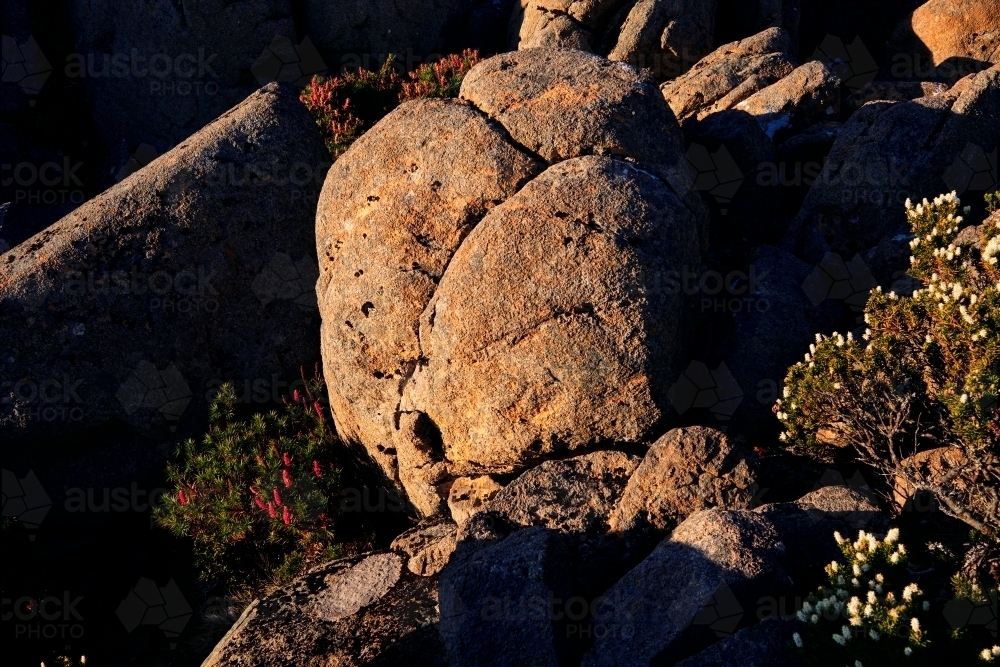 Image of Dolerite Rocks on Mt Wellington Summit - Austockphoto