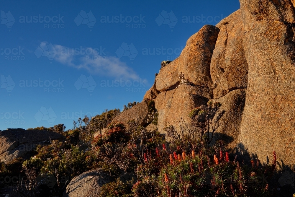 Image of Dolerite Rocks on Summit of Mount Wellington, Tasmania ...