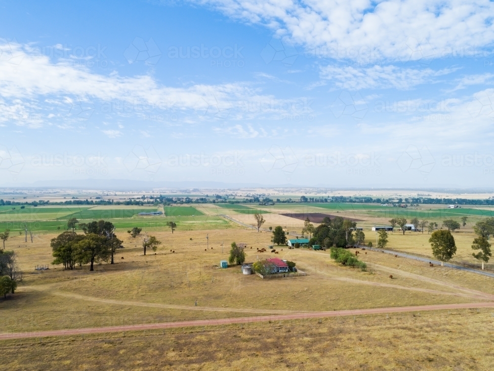Image of Driveway and farm houses in farm paddock landscape - Austockphoto