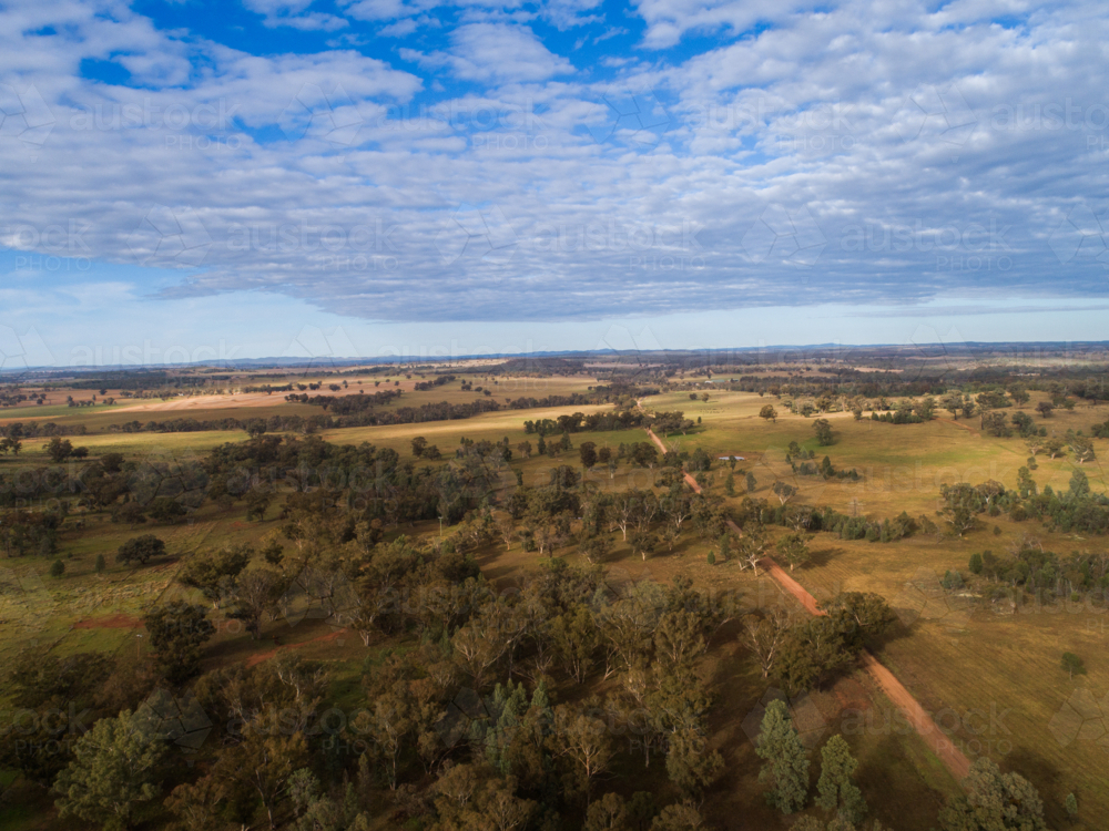 Image of Driveway through farm paddock in Dubbo from drone birds eye ...