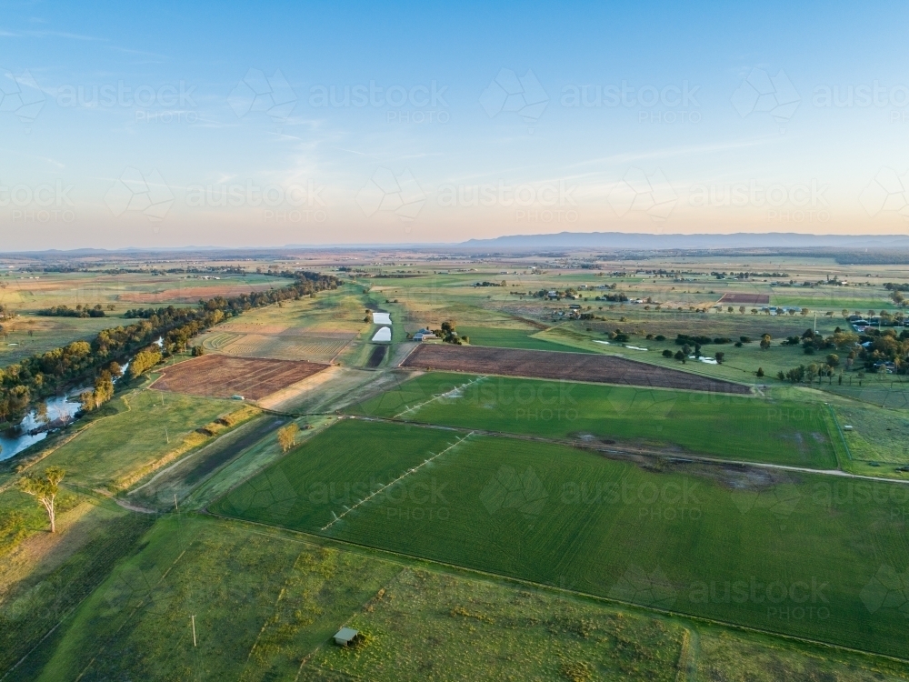 Image of Drone view of lush green farm paddock with irrigation system ...