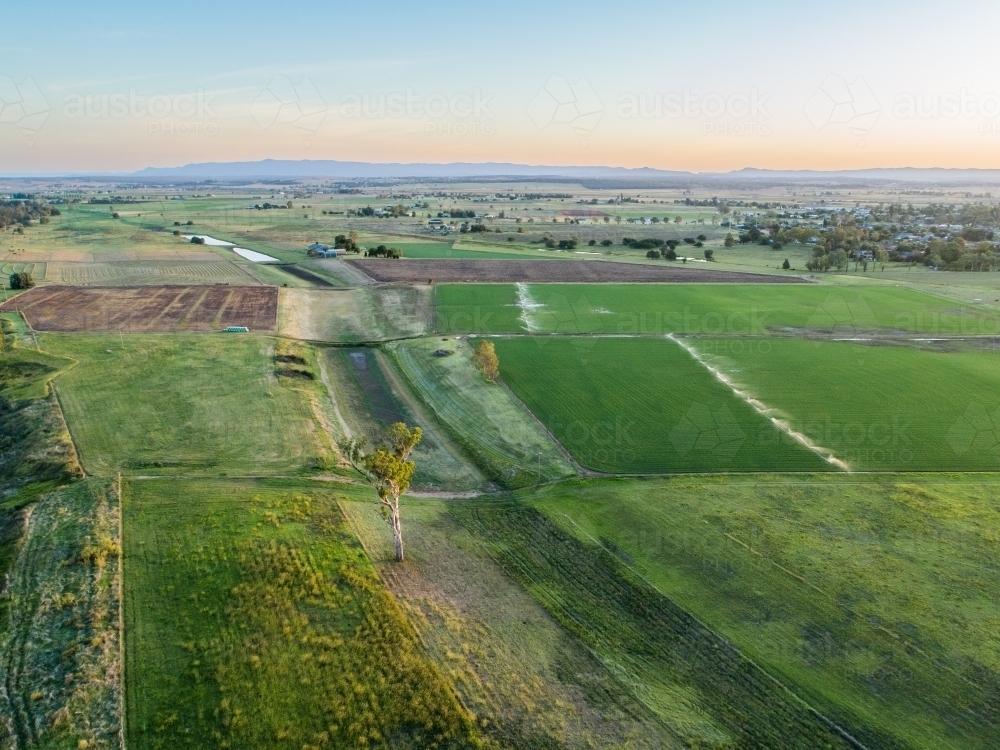 Image of Drone view of lush green farm paddock with irrigation system ...