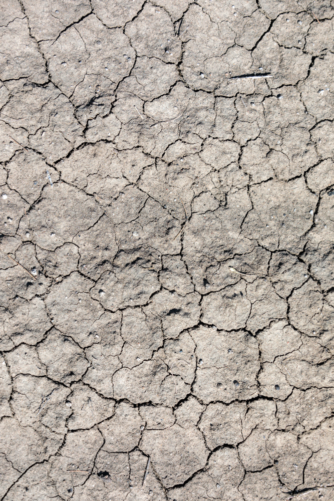 Image of Drought affected farm land - Austockphoto