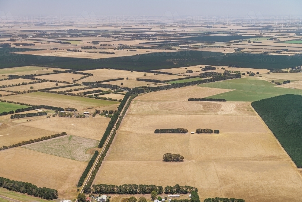 Image of Dry farmland around Meredith, Victoria - Austockphoto