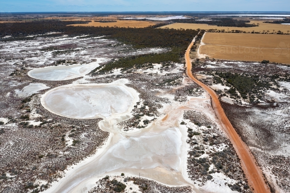 Image of dry salt pans and saltbush with gravel road and farmland ...