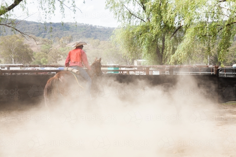 Image of Dust in yard during campdrafting event with horse and rider ...