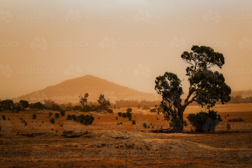 Image of Dust storm passing over Pyramid Hill in Victoria - Austockphoto