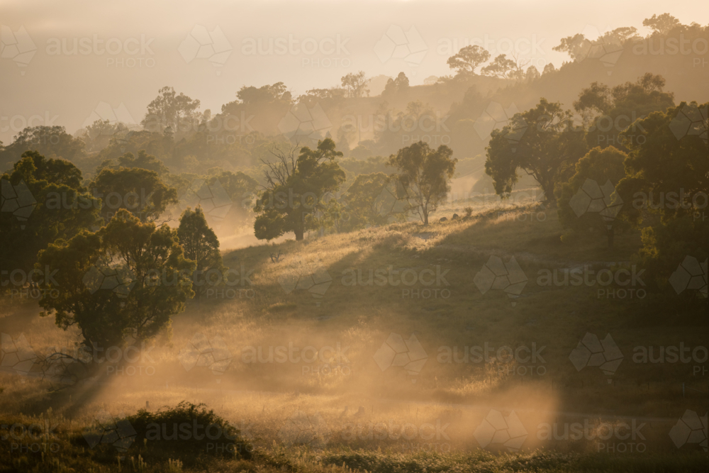 Image of Dusty rural Australian backroad at sunrise - Austockphoto
