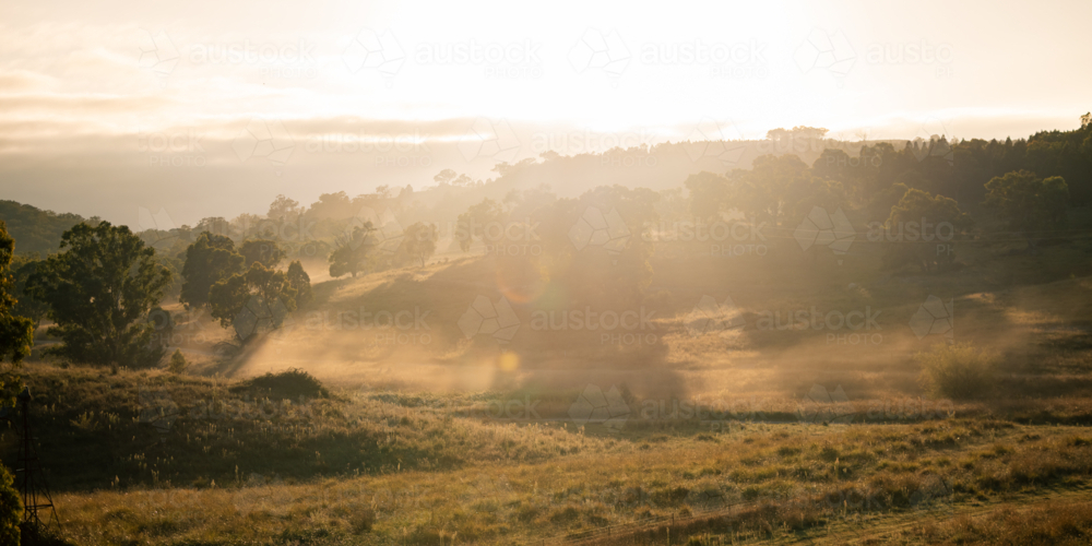 Image of Dusty rural Australian backroad illuminated by morning ...