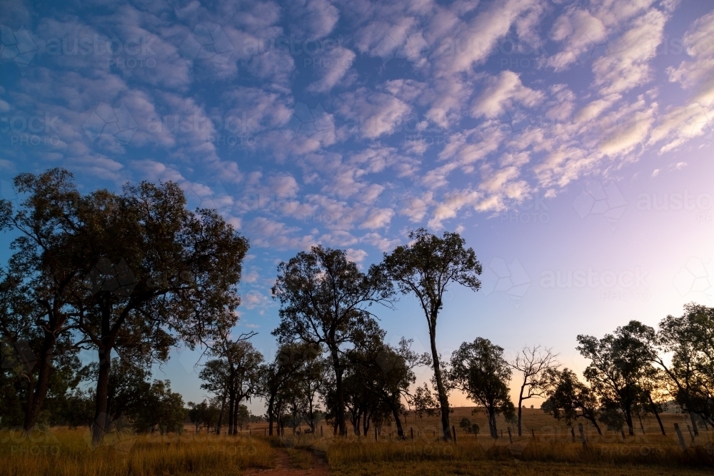 Image of Early morning in the country. - Austockphoto