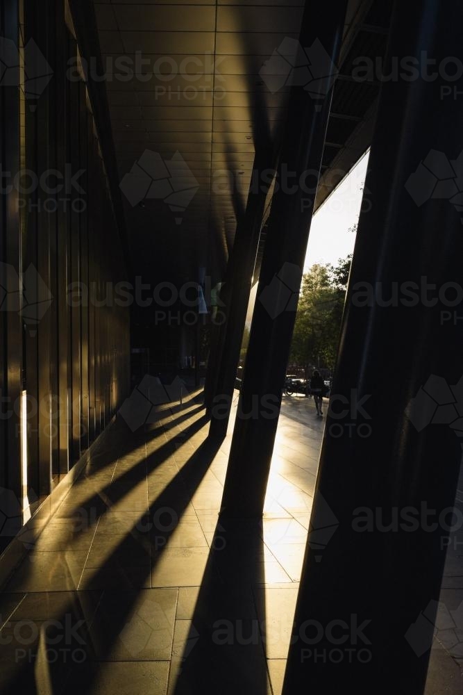 Early Morning Light Photography