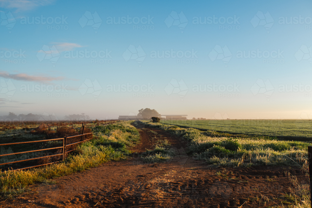 Image of early morning scenes of a farm in rural NSW, Australia ...
