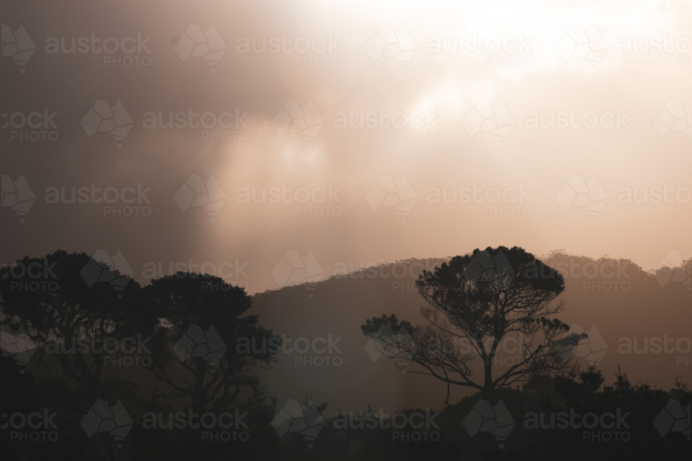Image of Earthy Monotone Landscape of Warm soft light and cloudy sunset ...