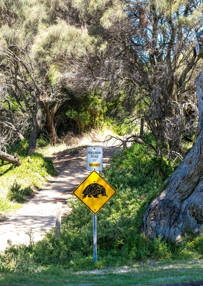 Image Of Echidna Crossing Sign Austockphoto
