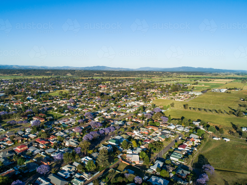 Image of Edge of country town in Australia in early summer with purple ...