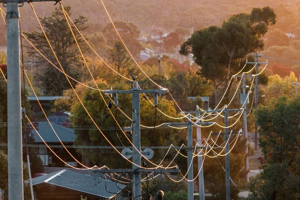 Image of Electrical cables running between power poles - Austockphoto