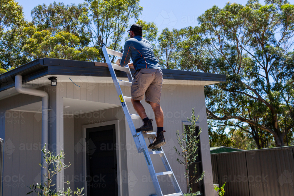 Image of Electrician tradie man climbing up ladder to roof for solar ...