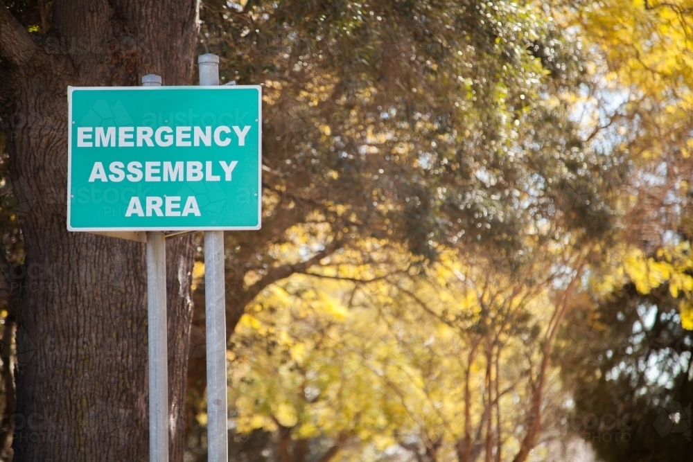 Image of Emergency Assembly Area sign with bokeh tree leaves behind ...