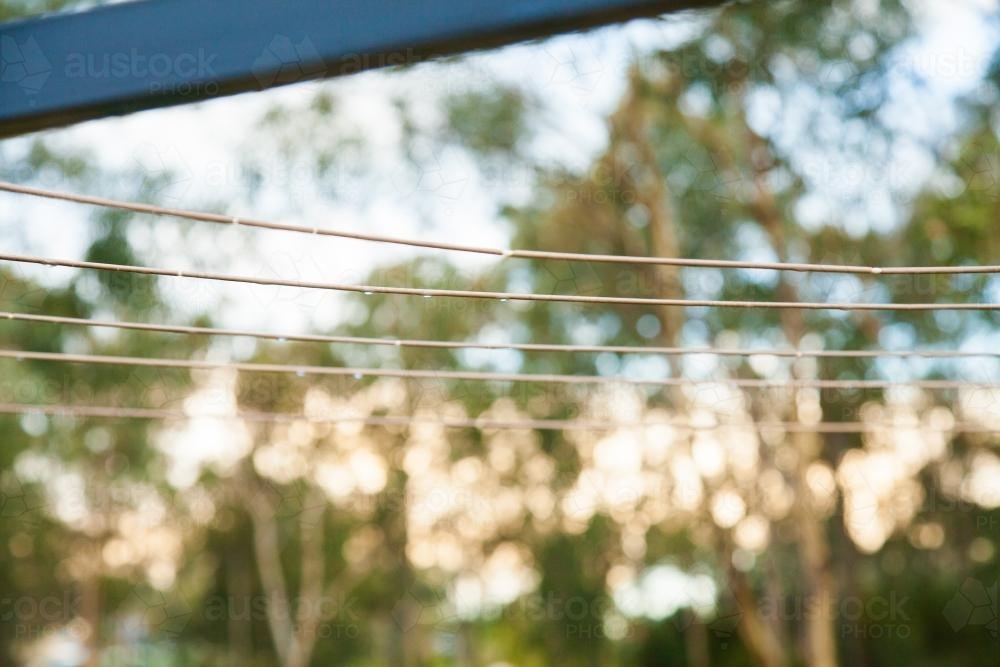Image of Empty clothesline at sunset after the rain - Austockphoto