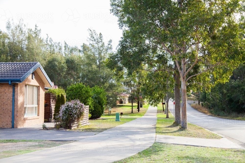 Image of Empty road and footpath lined with trees beside houses ...