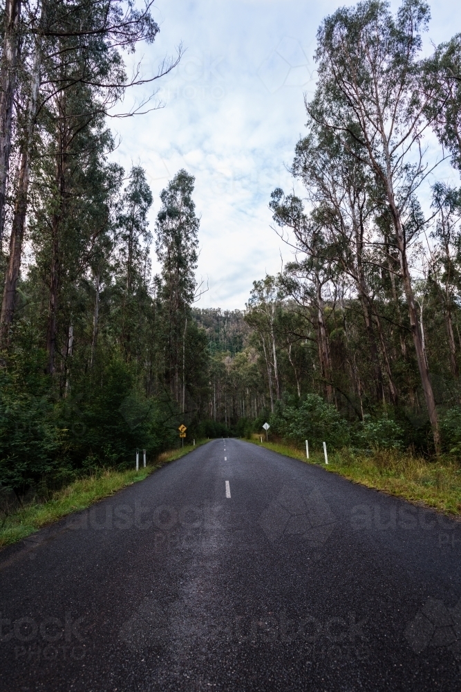Image of empty road in rural Australia - Austockphoto