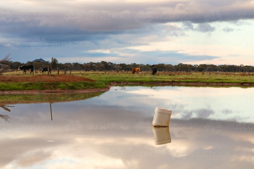 Image of Empty white drum floating in dam on country property with ...