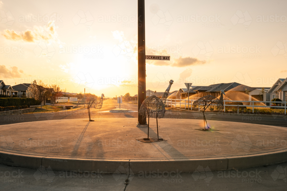 Image of Emu sculptures made of wire on roundabout in residential ...