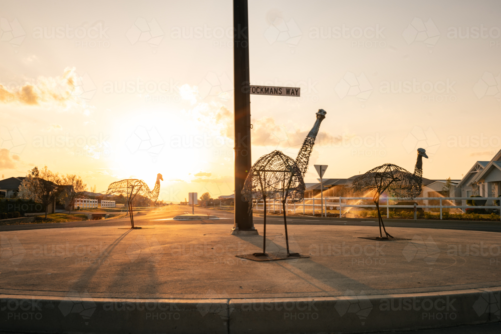 Image of Emu sculptures made of wire on roundabout in residential ...