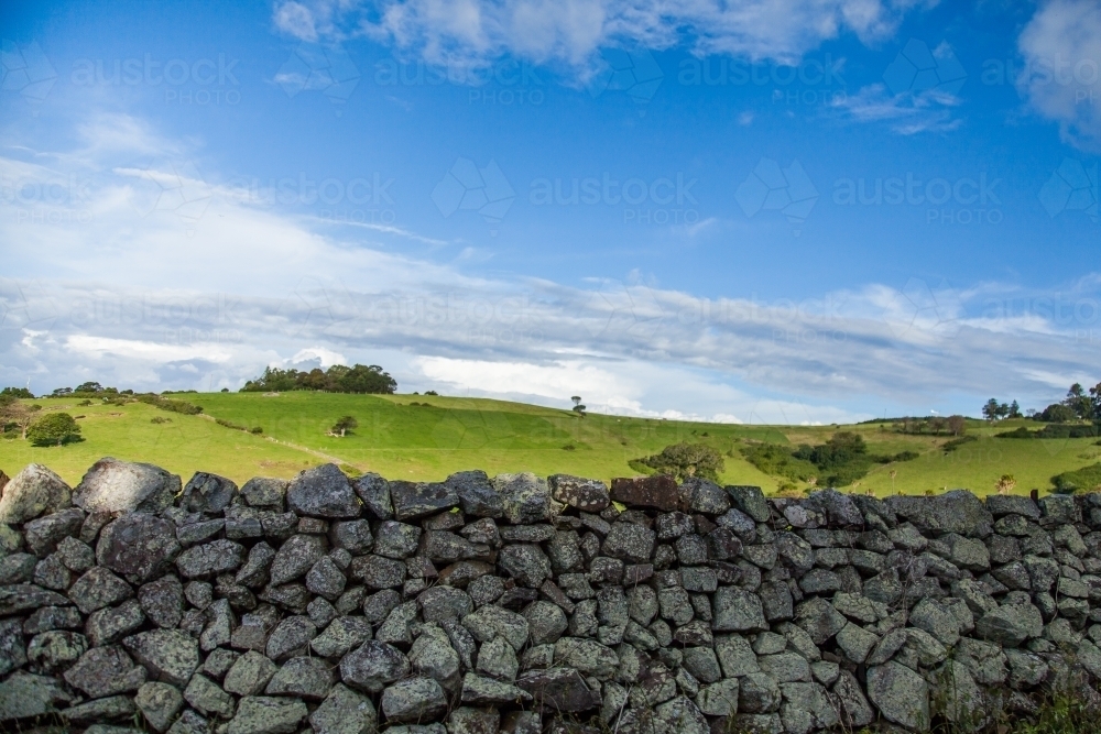 Image of English looking stone fence into green paddock - Austockphoto
