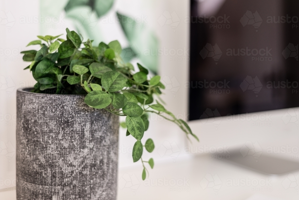 Image of fake indoor plant on office desktop - Austockphoto