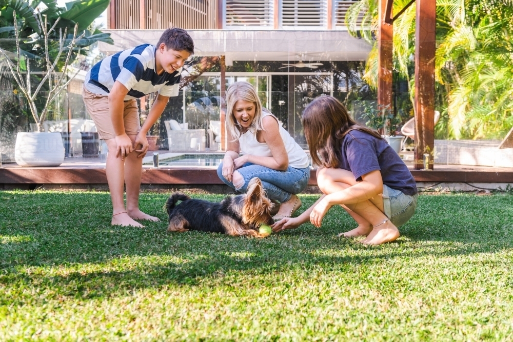 Image of family playing with their dog in the backyard - Austockphoto