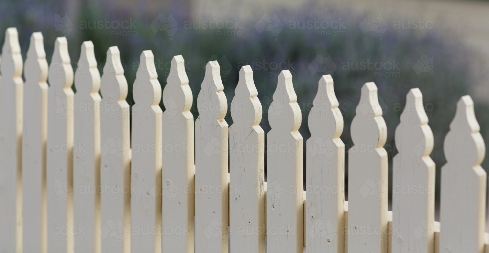 Image of Fancy white picket fence in windsor style - Austockphoto