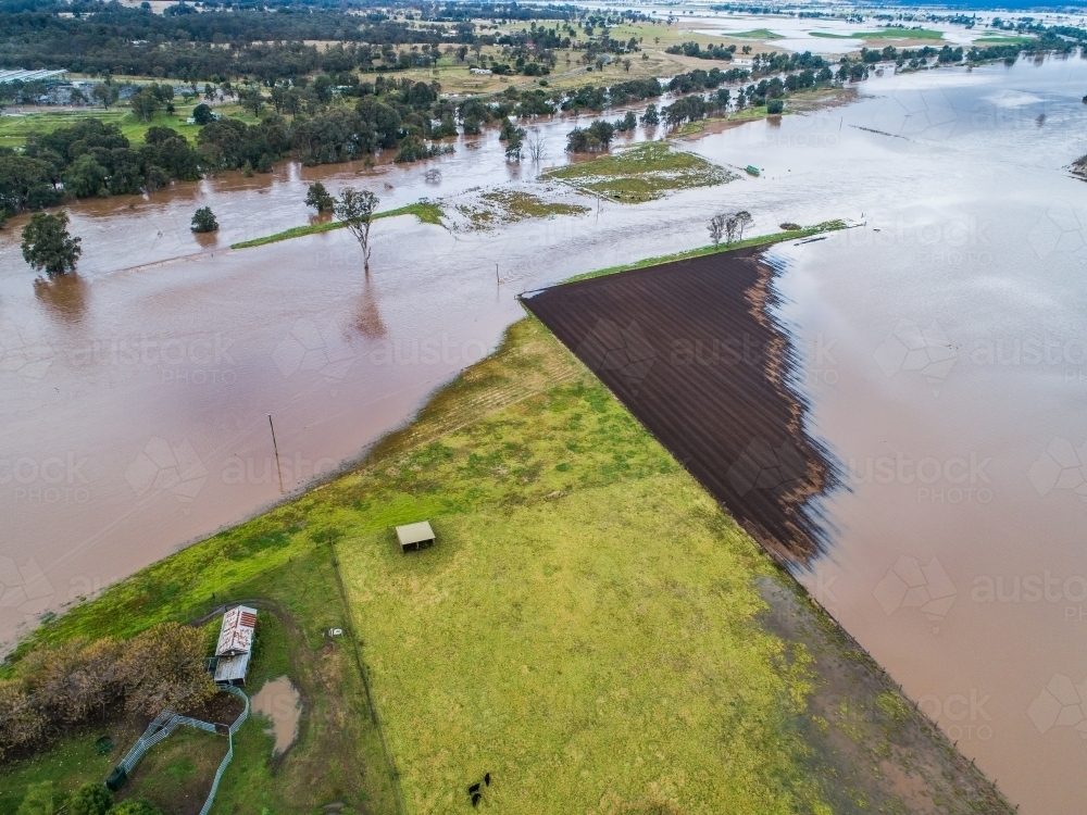 Image of Farm crop paddocks underwater during natural disaster flood ...