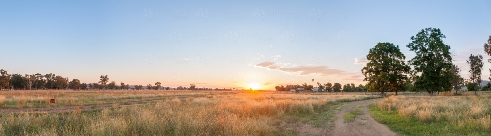Image of Farm driveway and paddock at sunset - Austockphoto