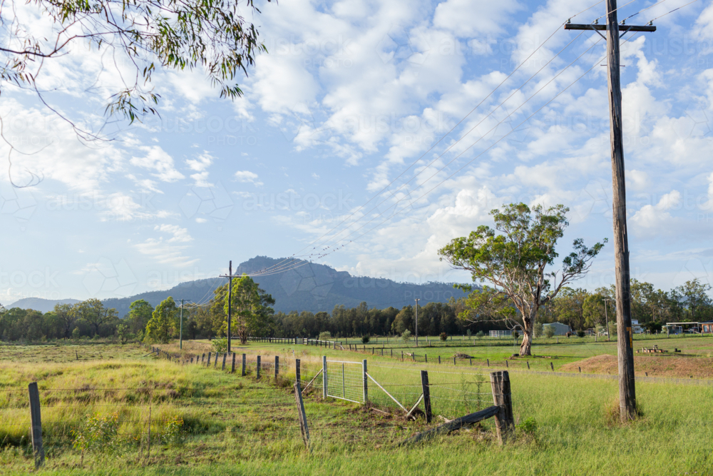 Image of Farm fence and power pole and wire in grassy paddocks ...