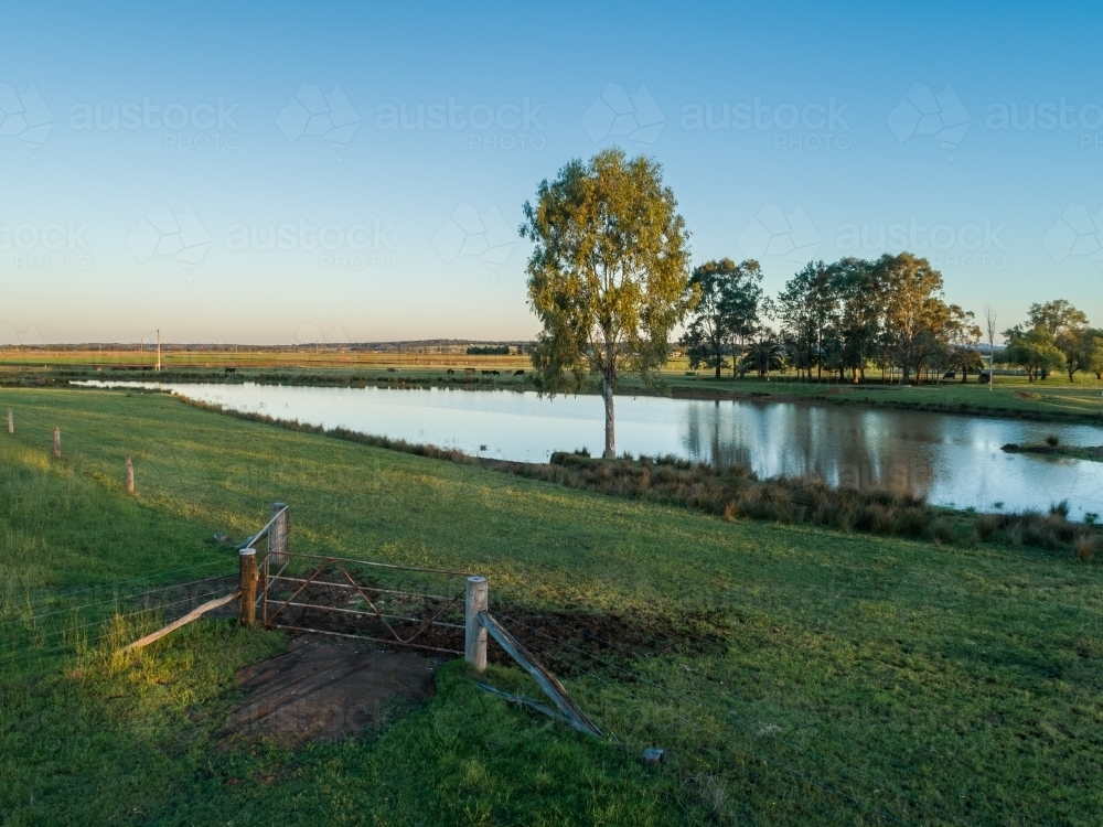 Image of Farm gate with dam in paddock in the last light of day ...
